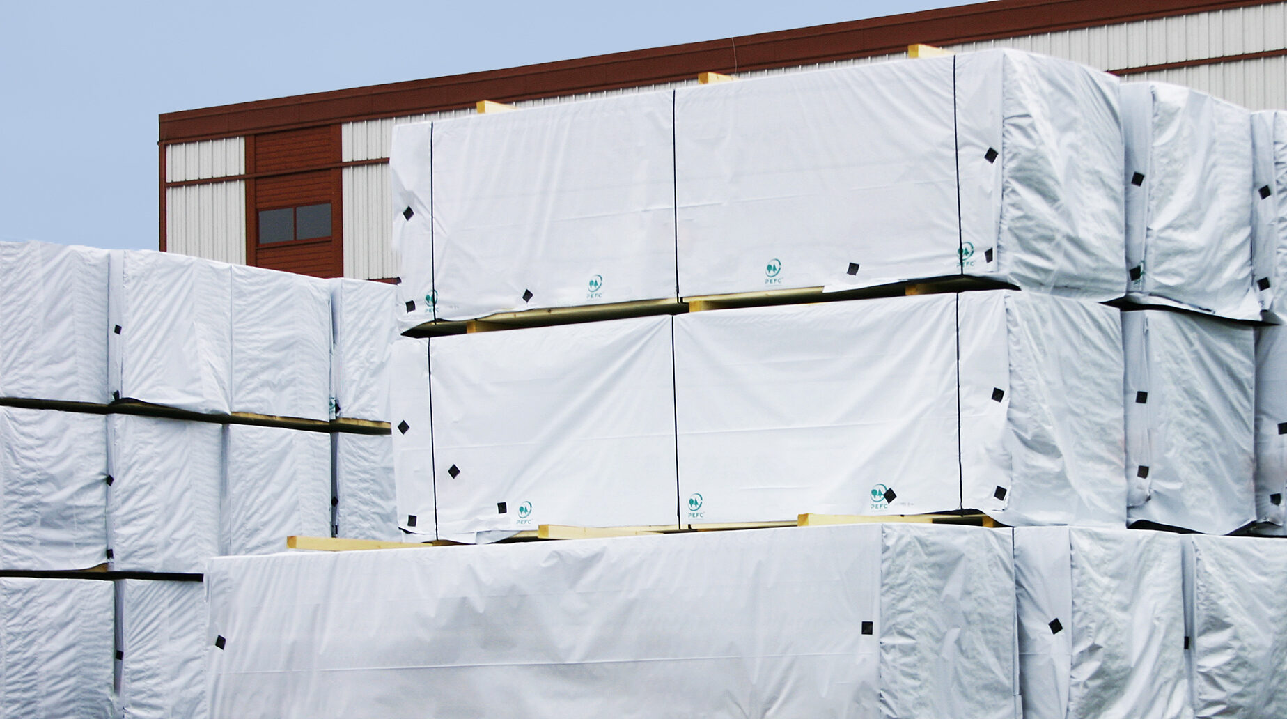 Art-Pak Film - Art-Pak